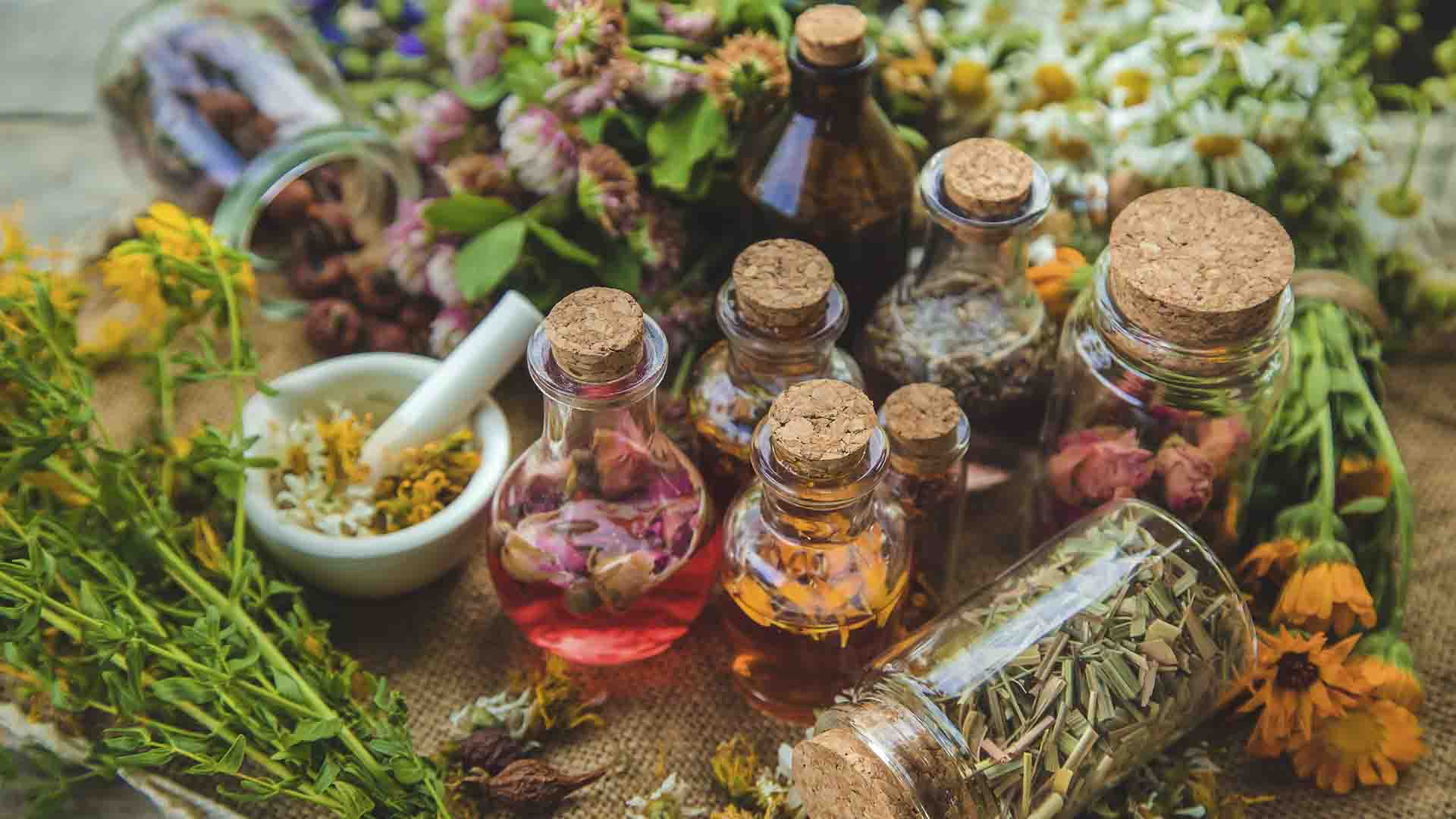 Traditional healing systems to shape global health dialogue - Qatar ...